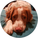 Private Functions - Paint Splice